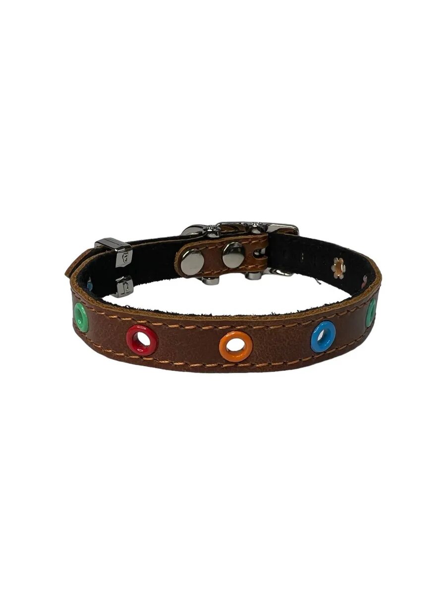 Ошейник Dogbond Colour кожаный для собак малых пород и кошек