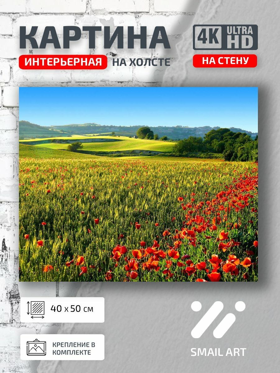 Картина на холсте интерьерная 40 на 50 на стену Поле Landscape для офиса пейзаж интерьер