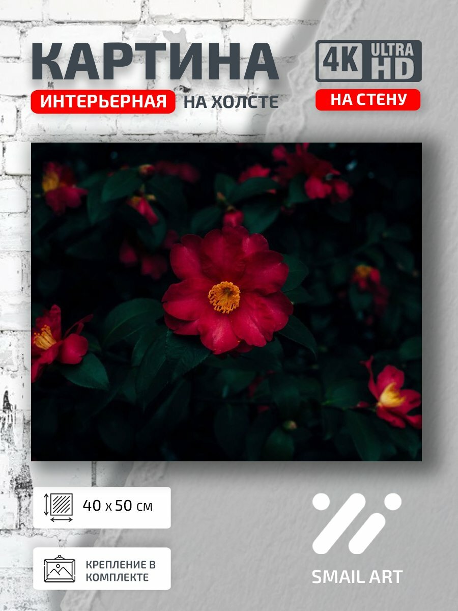 Картина на холсте интерьерная 40 на 50 на стену Листья Mood для гостиной атмосфера интерьер