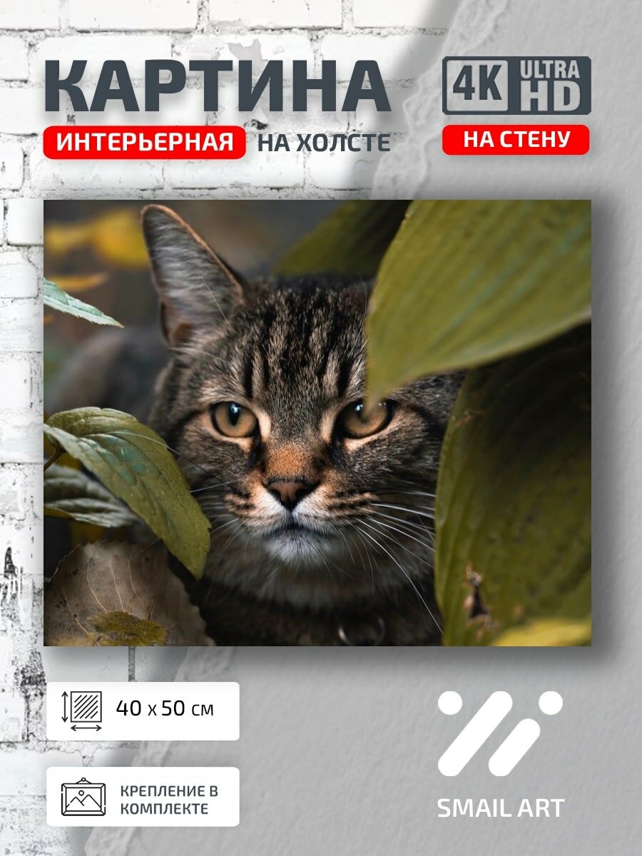 Картина на холсте интерьерная 40 на 50 на стену Животные Кот для гостиной атмосфера