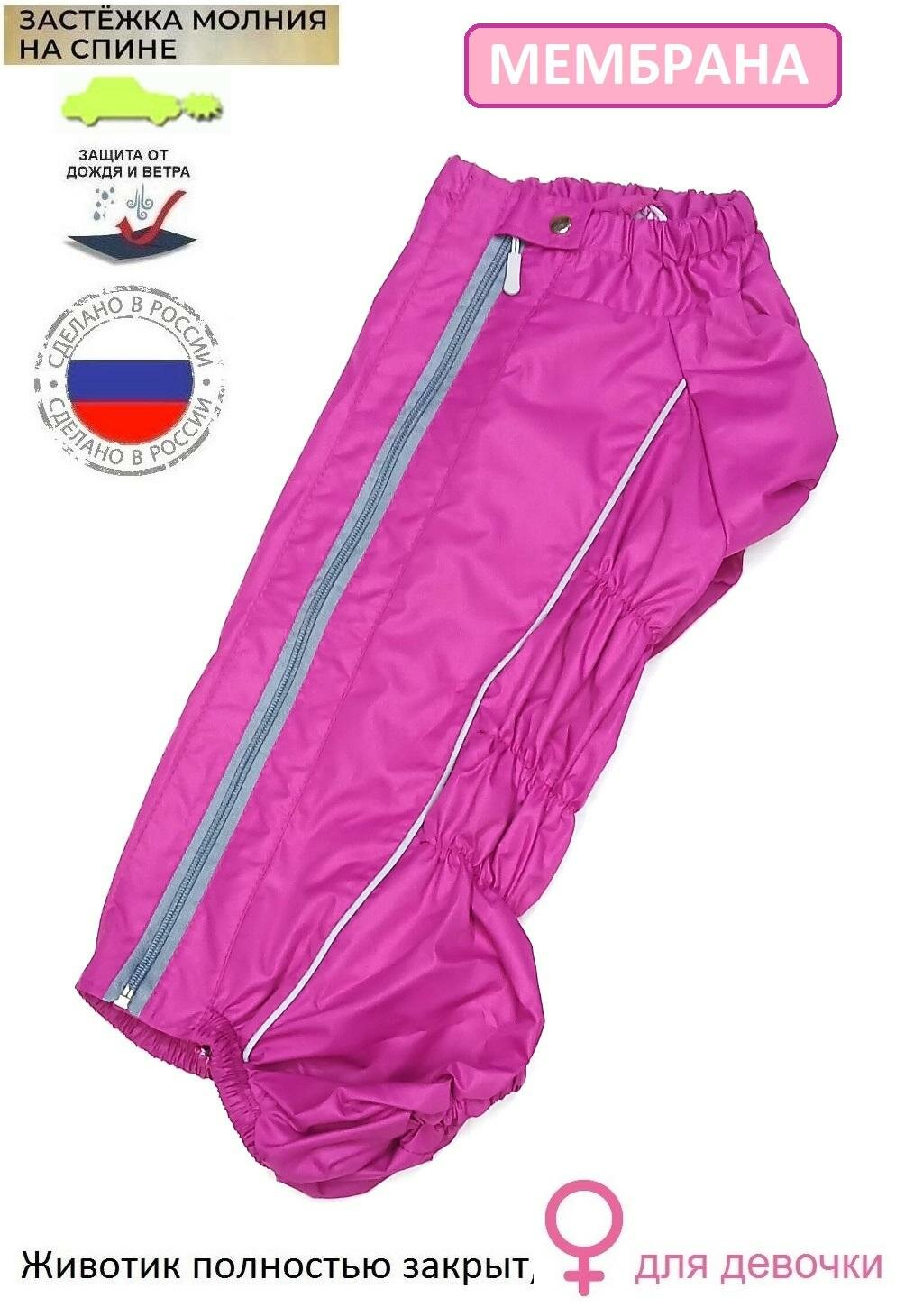 Комбинезон-дождевик для корги на грязь. Девочка (55см девочка)