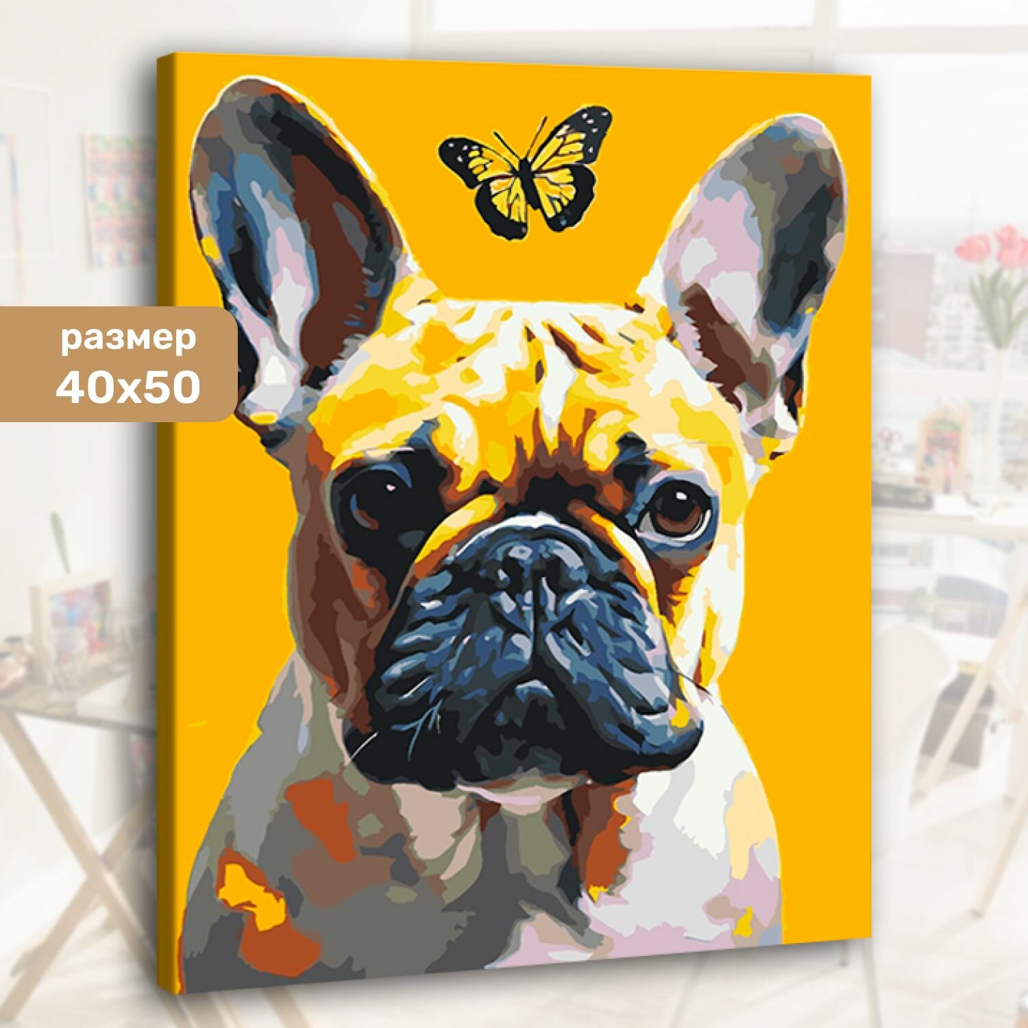 Картина по номерам на холсте с подрамником 40х50, французский бульдог