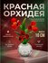 Красная орхидея