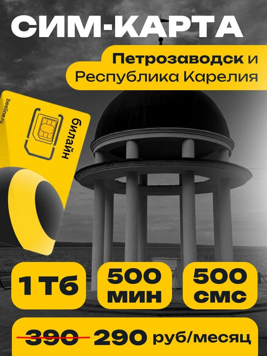 Сим-карта Билайн тариф Эксклюзивный Республика Карелия 1024 Гб + 500 минут за 290 руб.