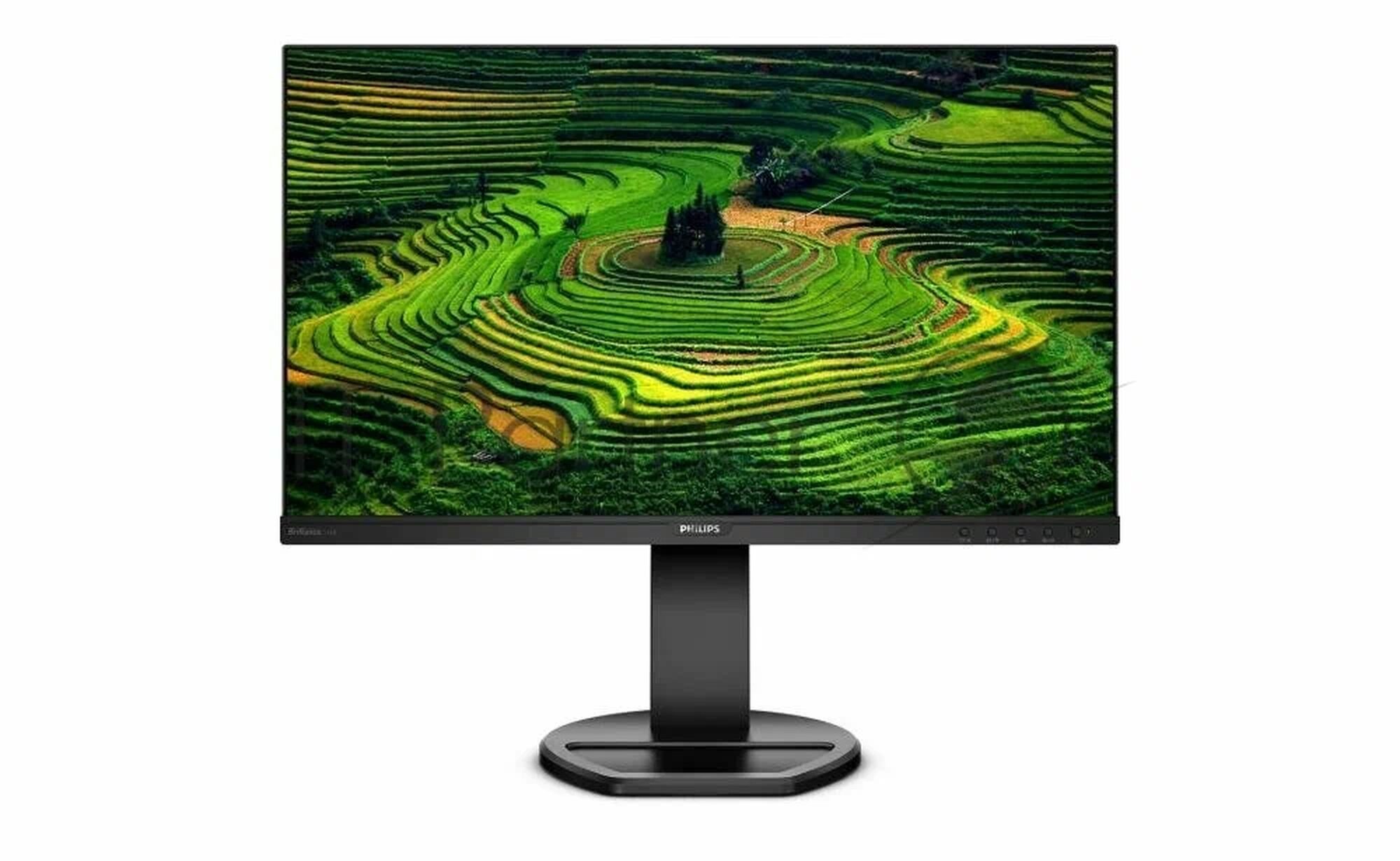 Монитор Philips 23.8" 241B8QJEB (00/01) черный IPS LED 16:9 DVI HDMI M/M матовая HAS Piv 1000:1 250c