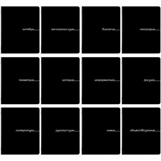 Тетради предметные Brauberg , комплект 12 предметов, 48 л, обложка картон, "BLACK", 405164