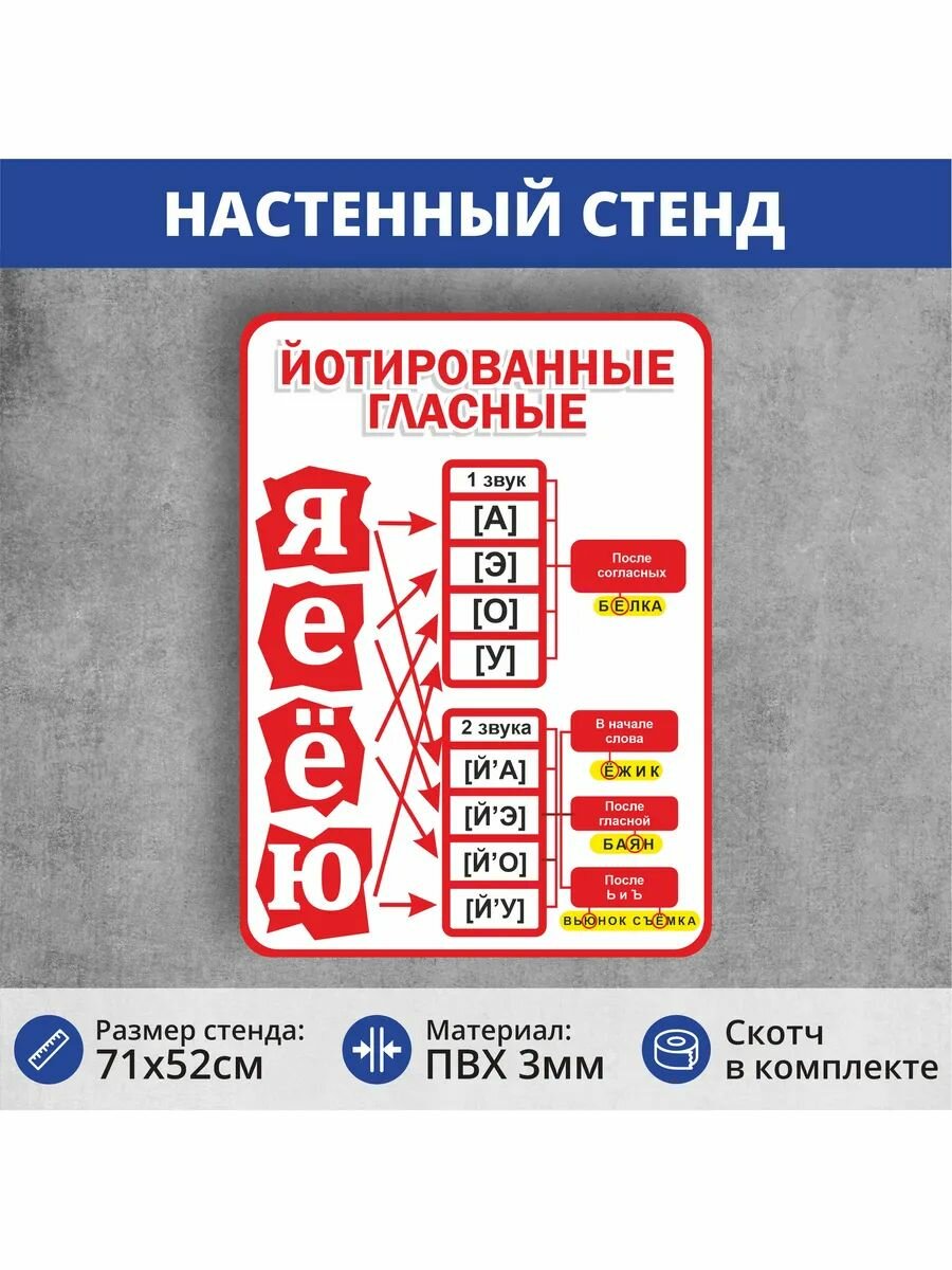 Стенд для начальной школы "Йотированные гласные" 710х520мм