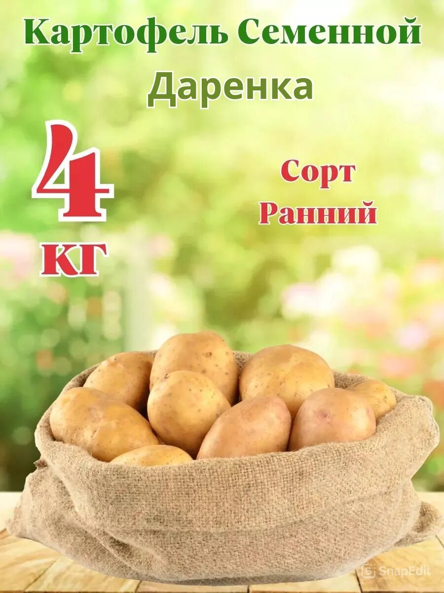 Картофель семенной "Даренка" 4 кг