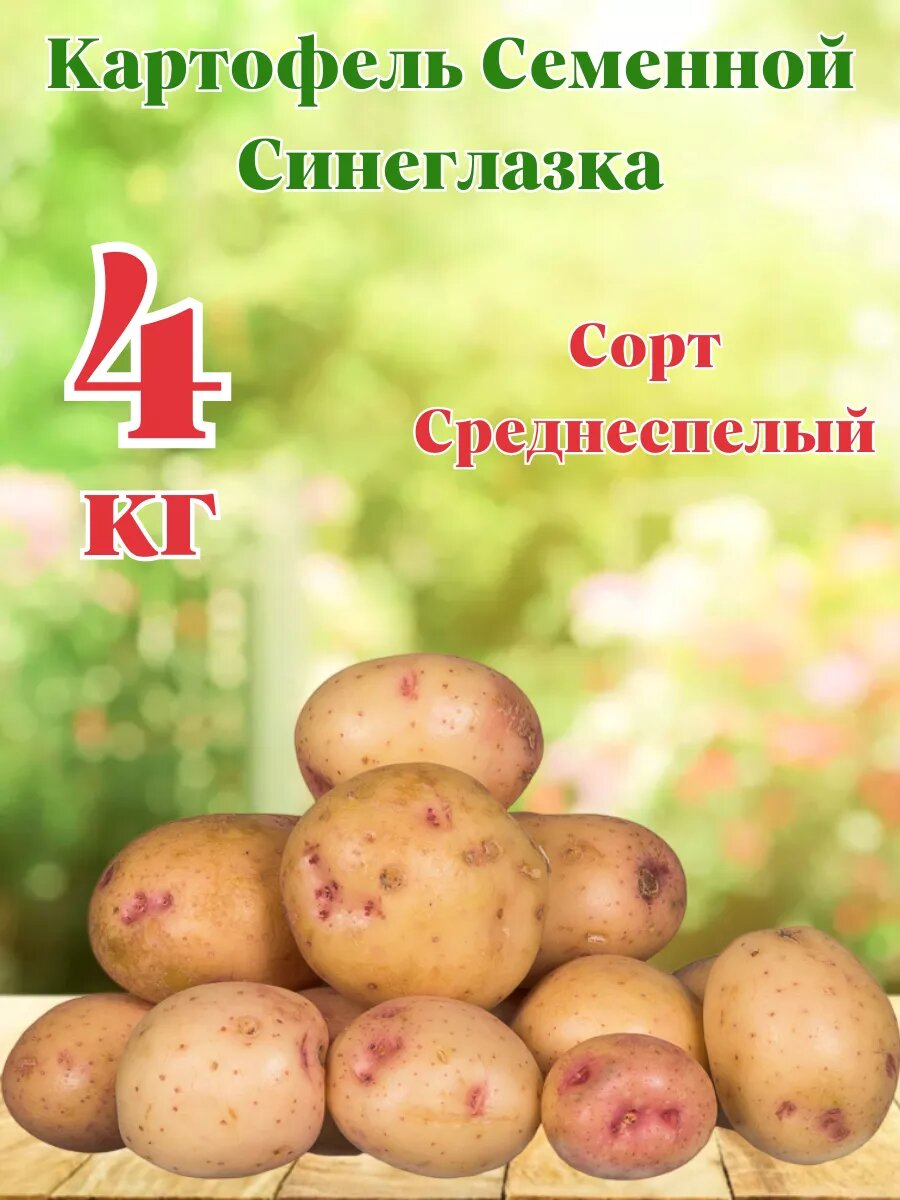 Картофель Семенной Синеглазка 4кг