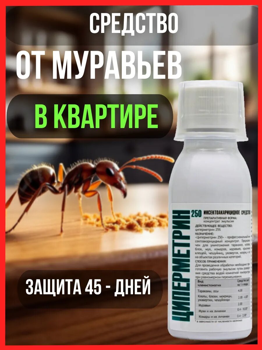 Средство от муравьев в квартире