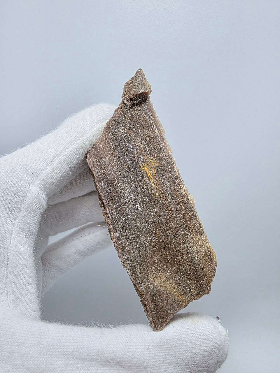 Окаменелое дерево 85 мм, 72 г.