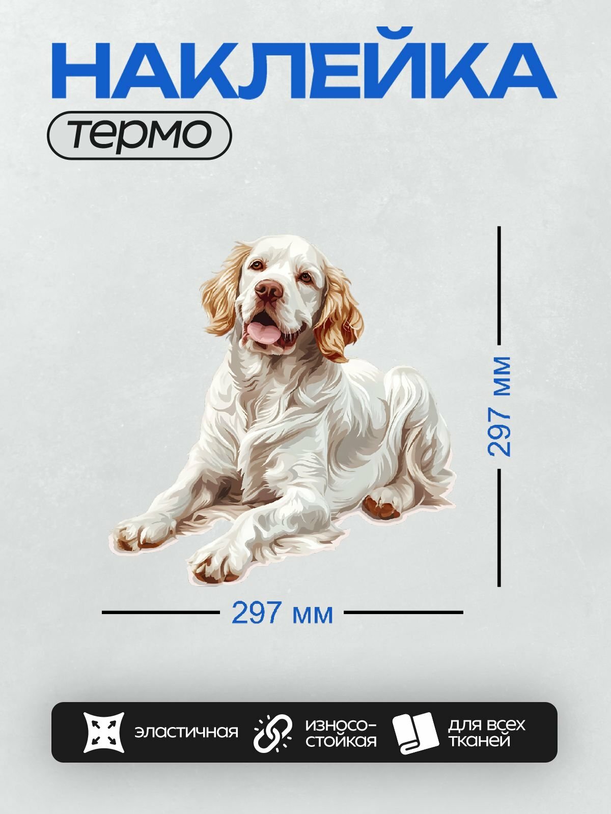 Термонаклейка PrintyFull для одежды, термоаппликация / DTF печать / Белый спаниель