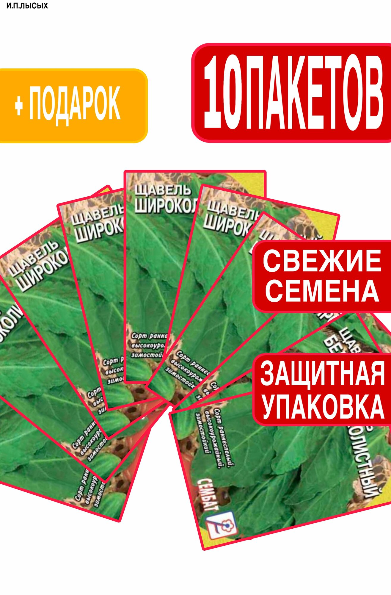 Семена Щавель "Широколистный"