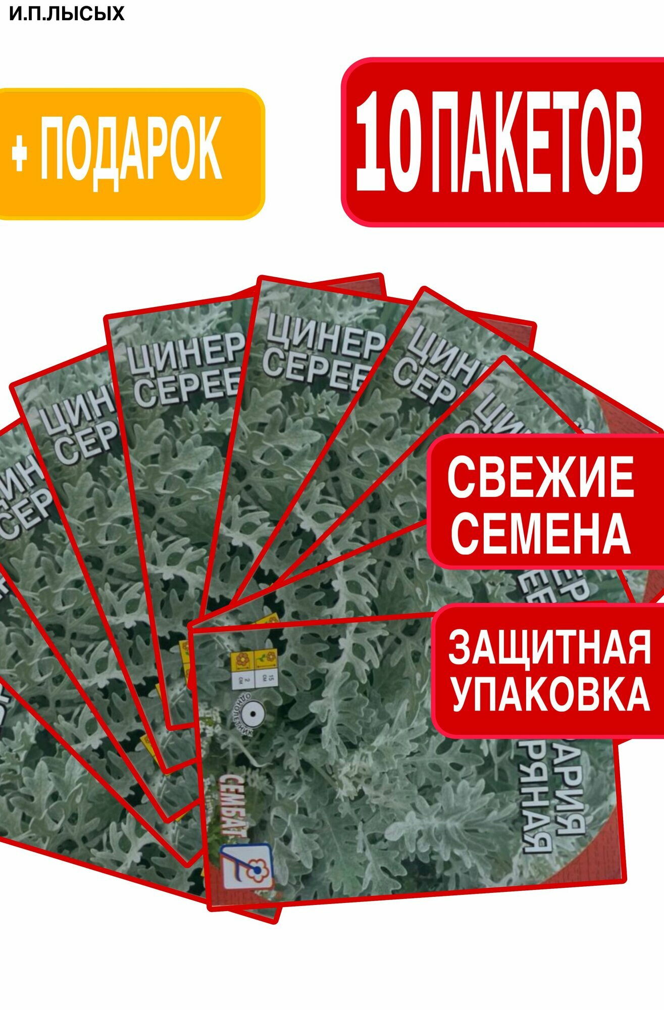 Семена Цинерария "Серебряная"