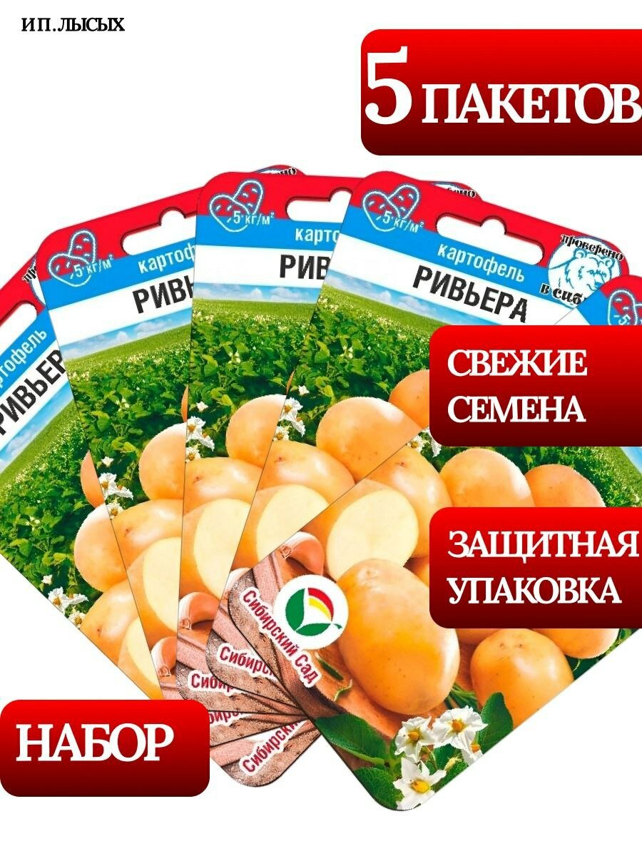 Семена Картофель "Ривьера"