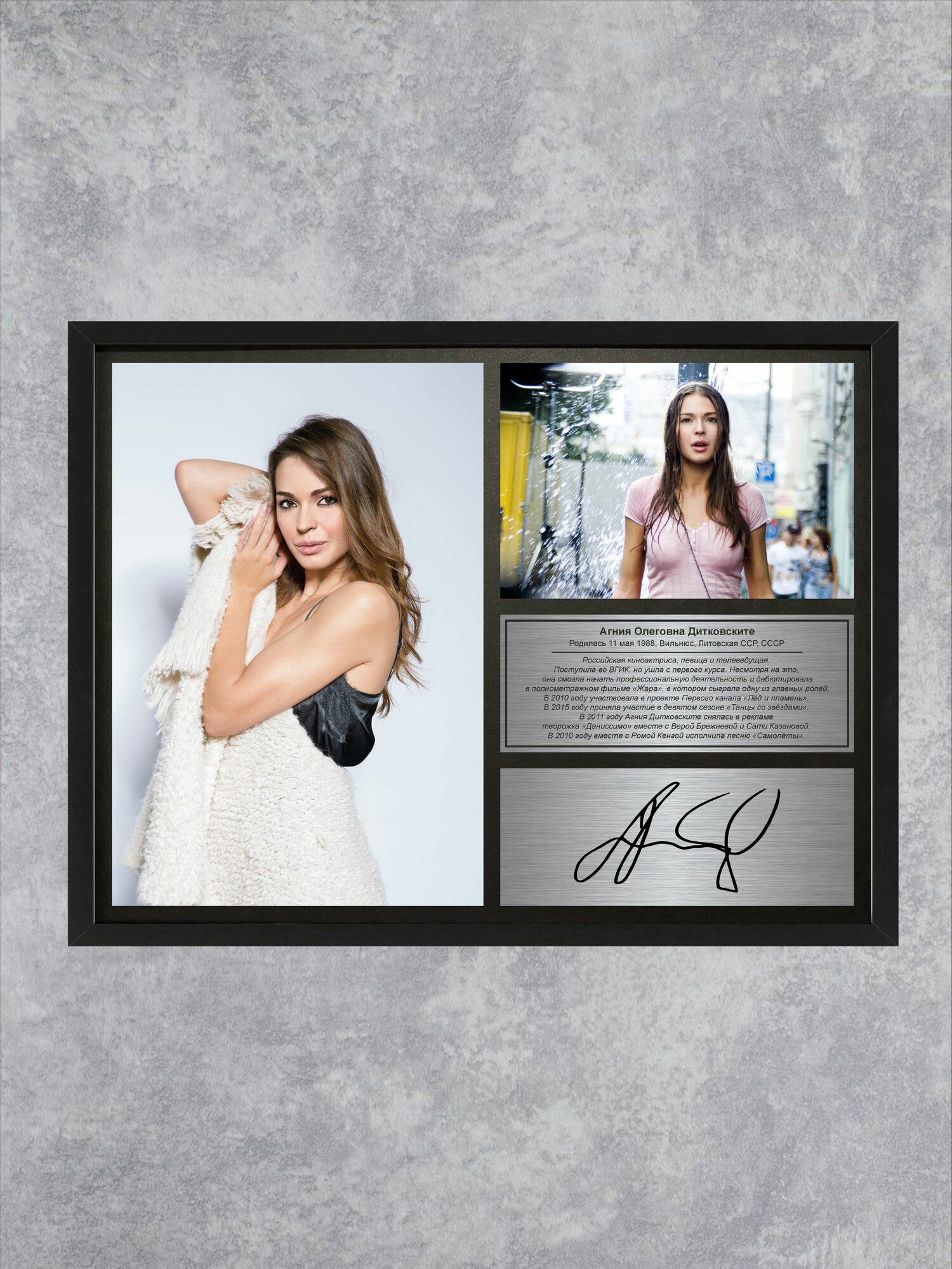 Агния Дитковските интерьерная картина