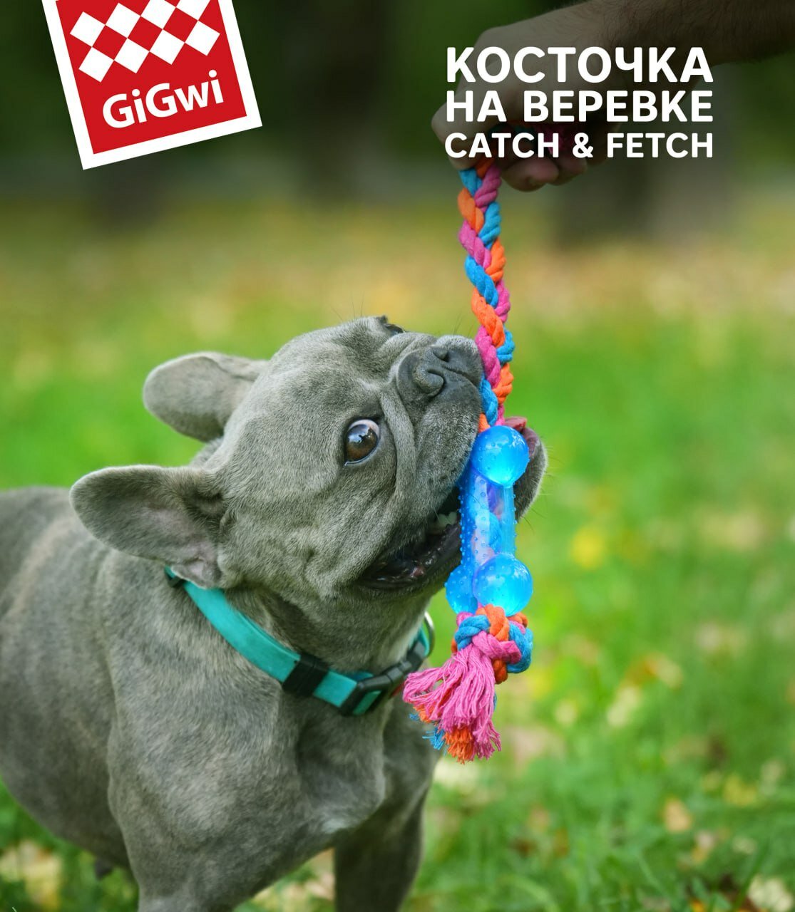 Игрушка для собак Косточка резиновая на верёвке малая 9/26см, бренд Gigwi