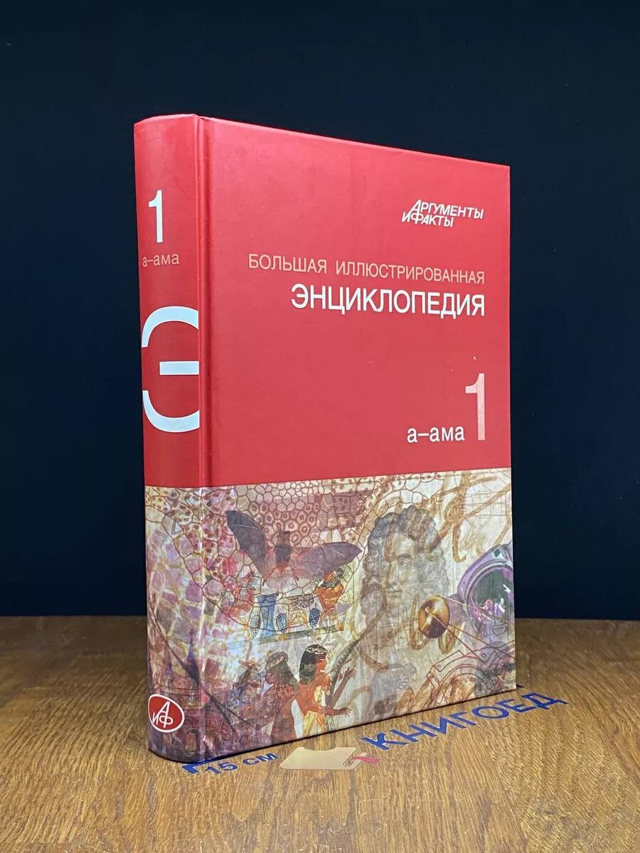 Книга. Большая иллюстрированная энциклопедия. Том 1 2010 (2039608111342)