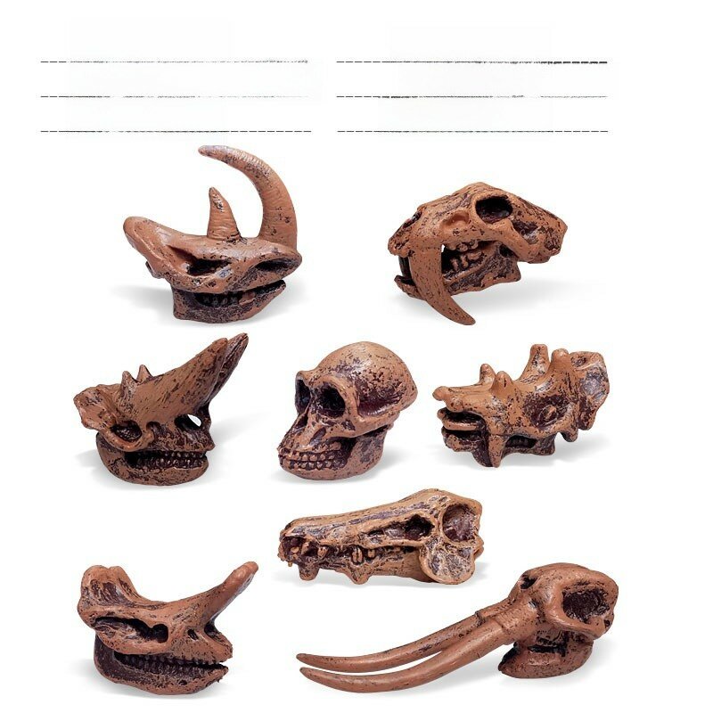 Старинная модель черепа животного из пвс для образовательных и домашних целей стильа