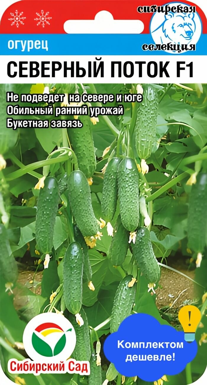 Огурец Северный поток F1