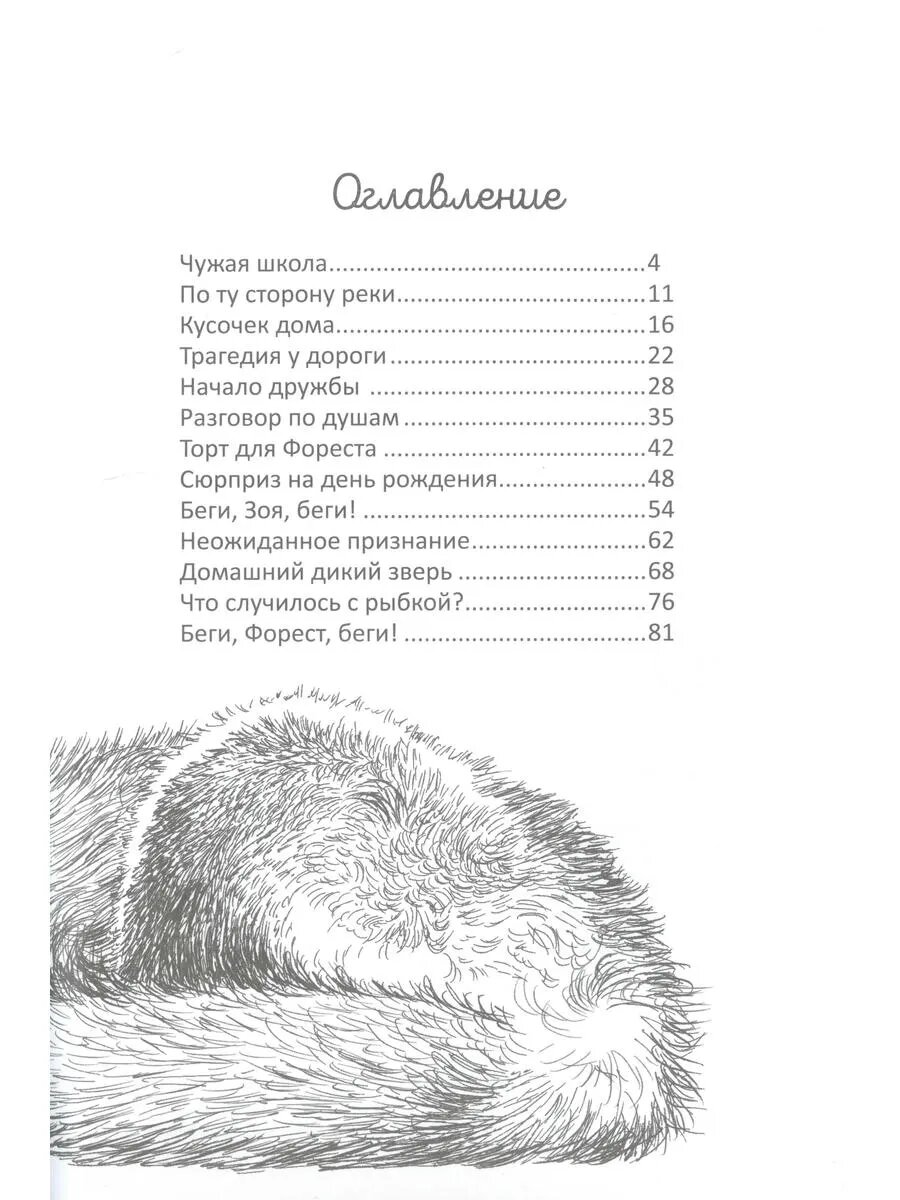 Бегущие по кромке леса — фото 1