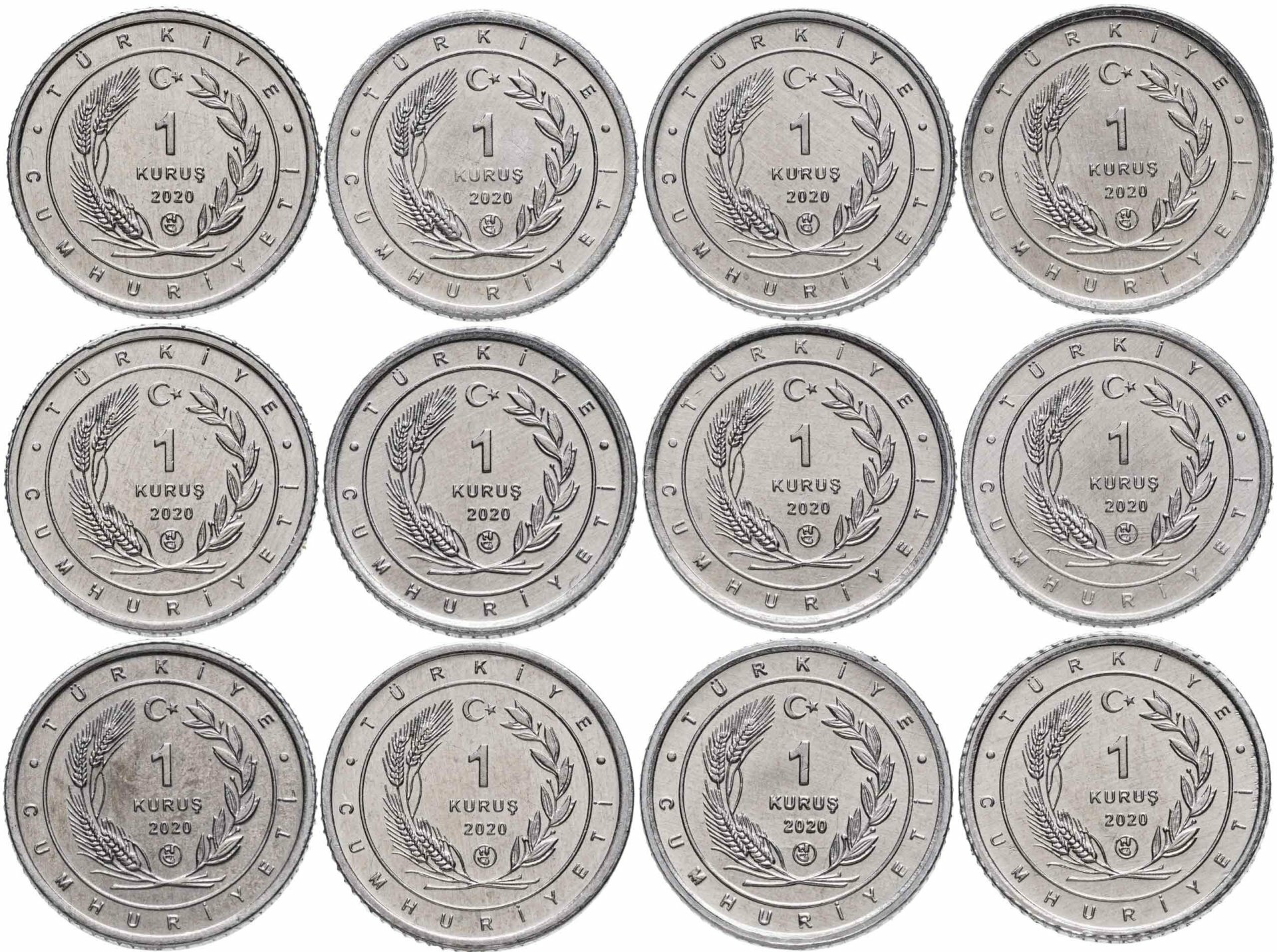 Турция набор из 12 монет 1 куруш 2020 Птицы