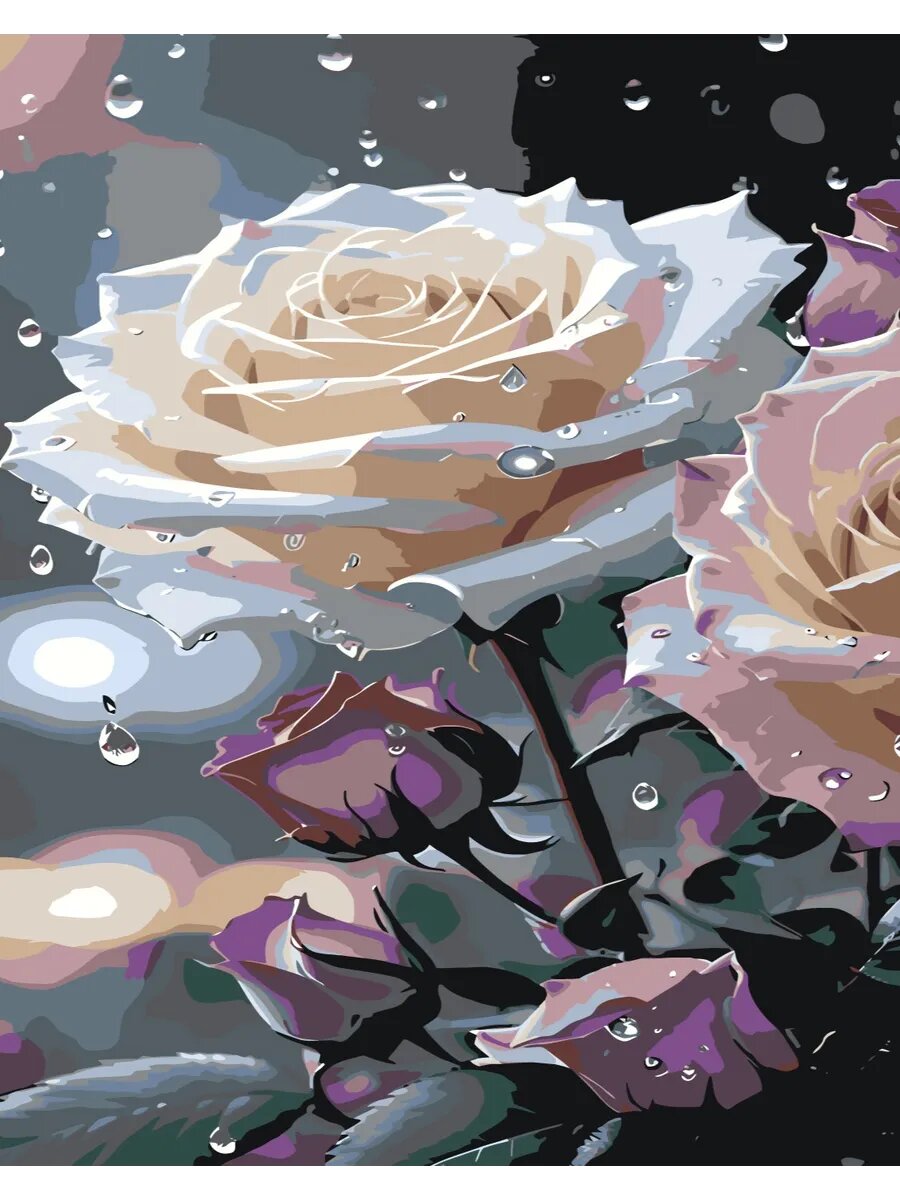 Картина по номерам Пейзаж Белая Роза Капли Вода Цветы