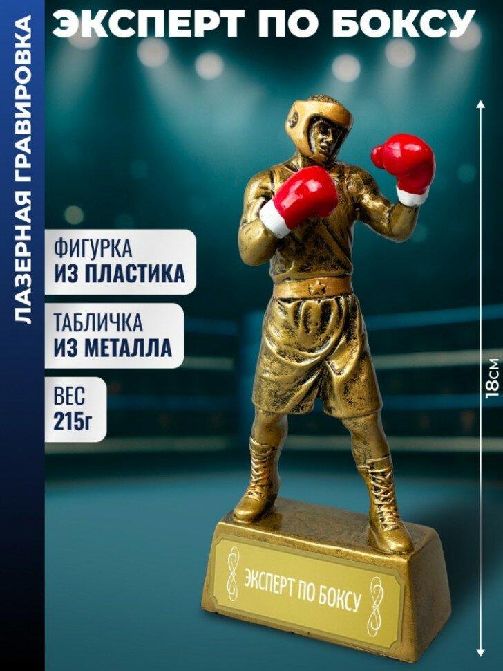 Статуэтка боксер "Эксперт по боксу"