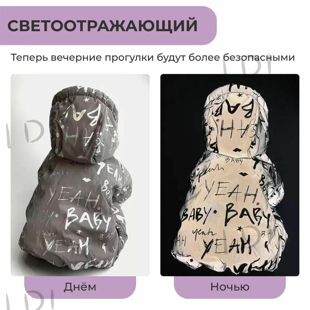 Одежда для животных — фото 1