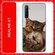Чехол на Realme XT / Реалми XT с принтом "Нежные котята - 14 февраля"