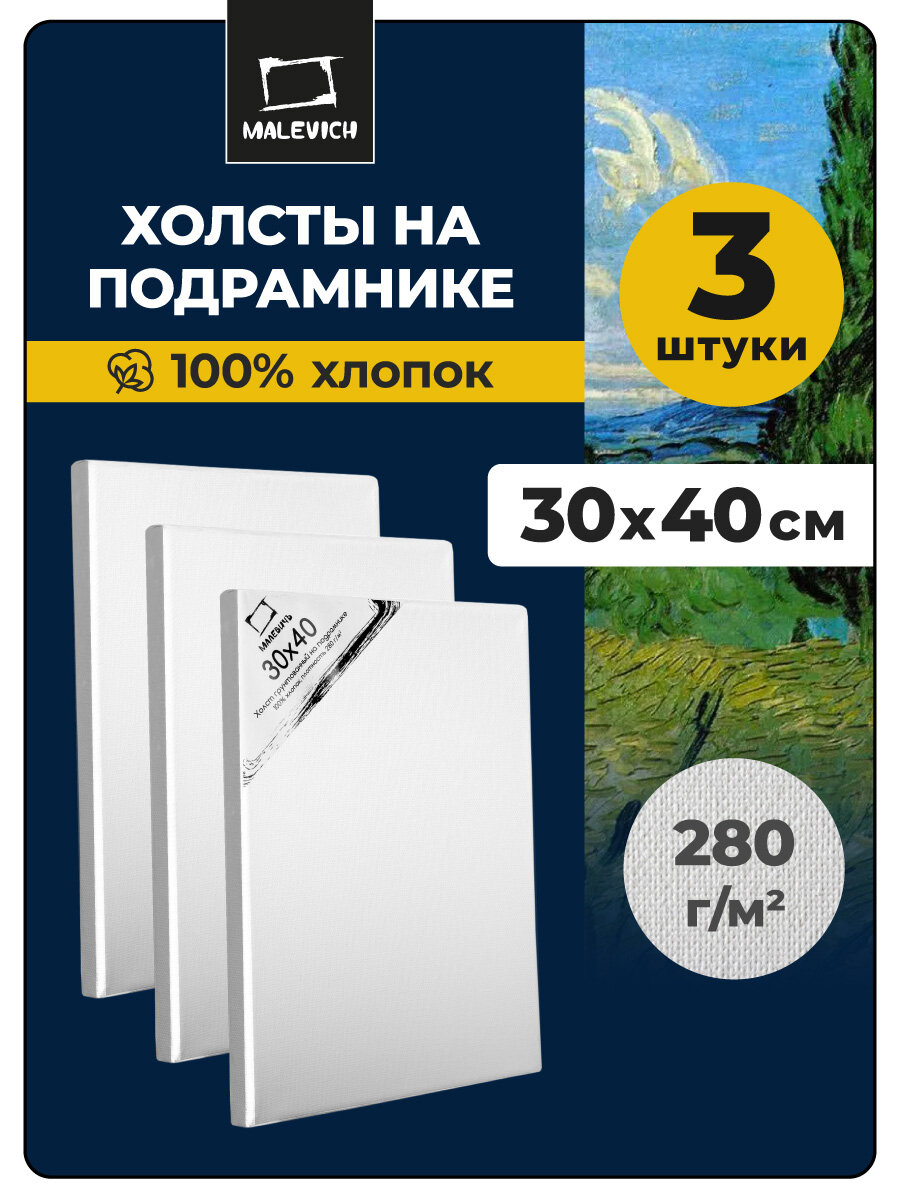 Набор холстов на подрамнике Малевичъ, грунтованный холст хлопок 280 г, 3 шт. 30х40 см