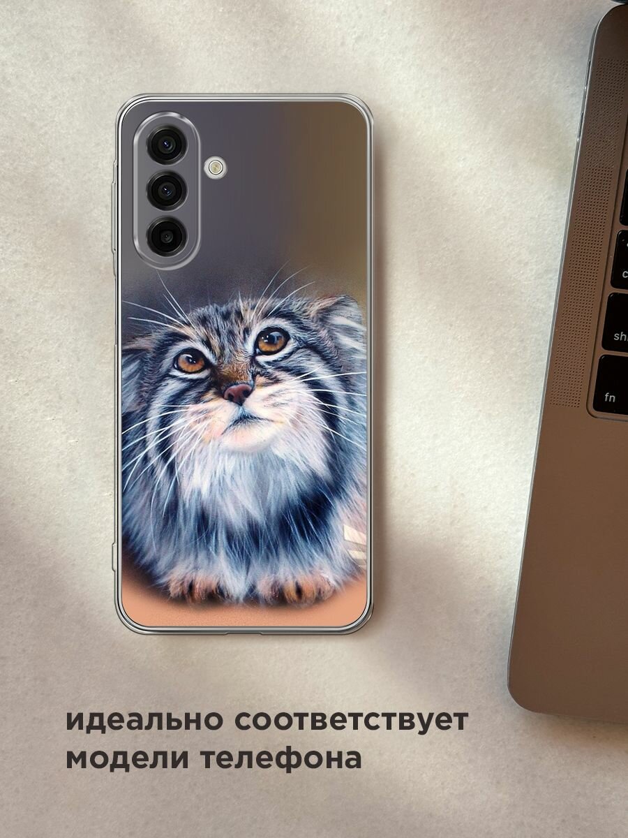 Чехол на Samsung Galaxy A17 / Самсунг А17 с принтом "Кот манул 2" — фото 1