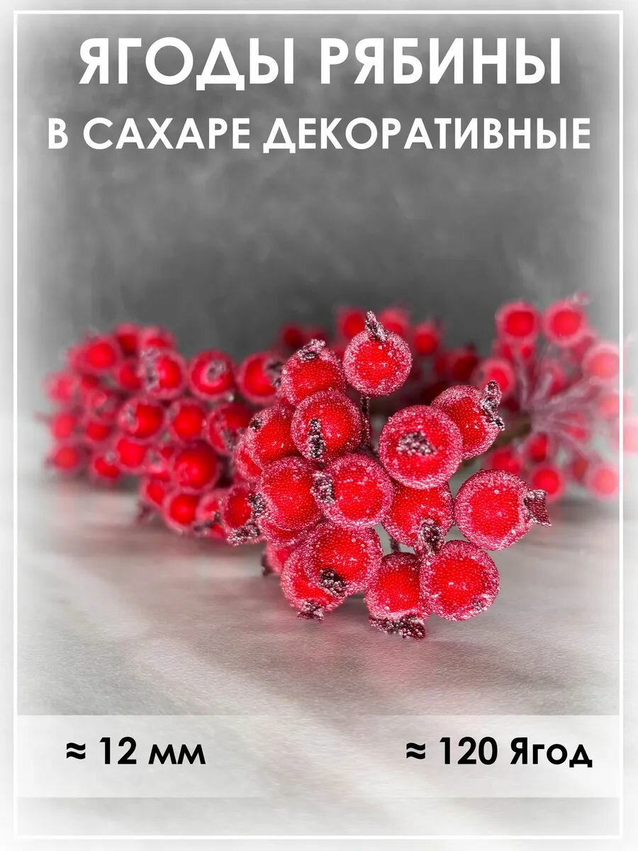 Сахарные ягоды рябины в сахаре на новогоднюю елку