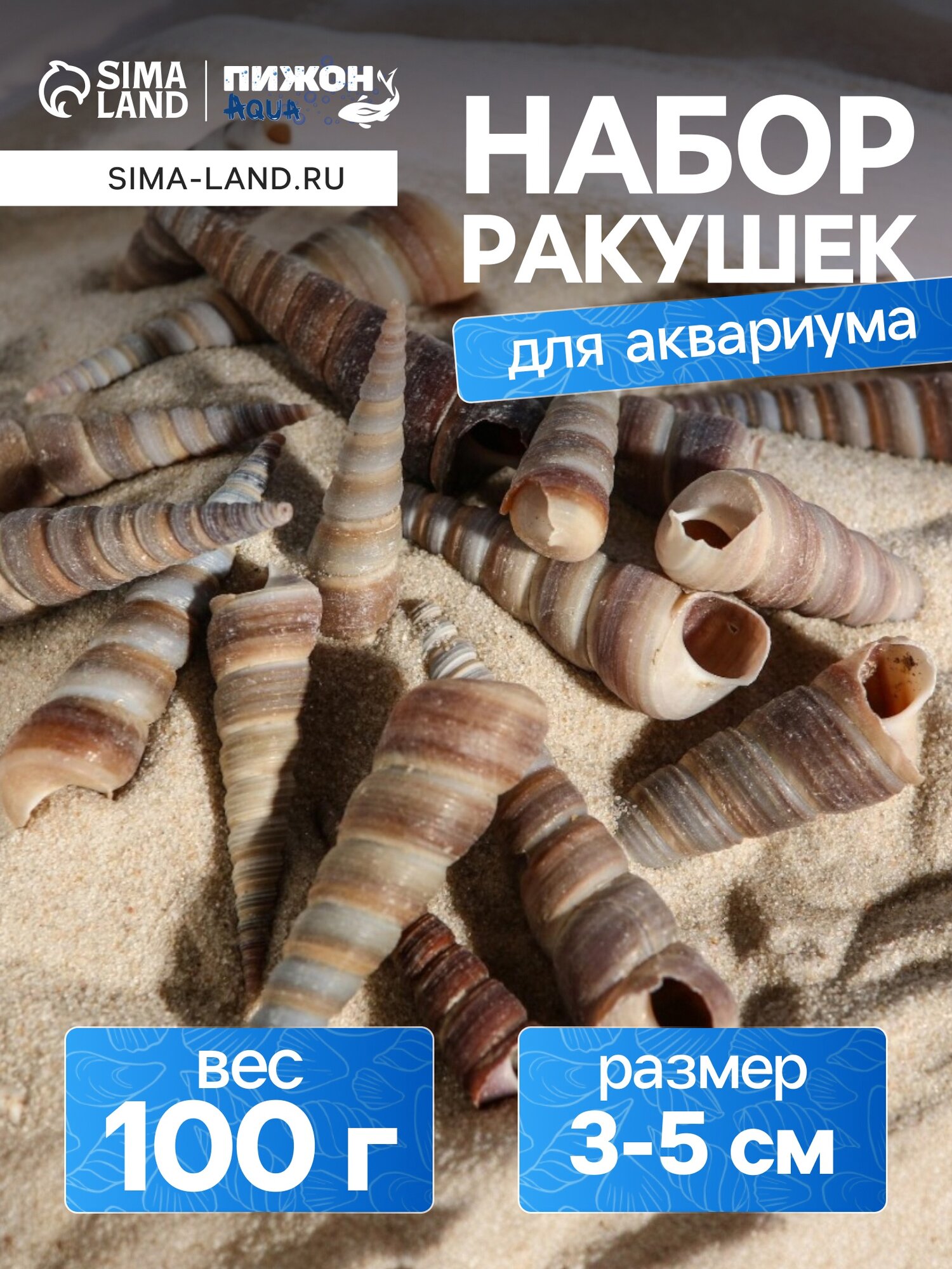 Набор ракушек, 3 - 5 см, 100 г