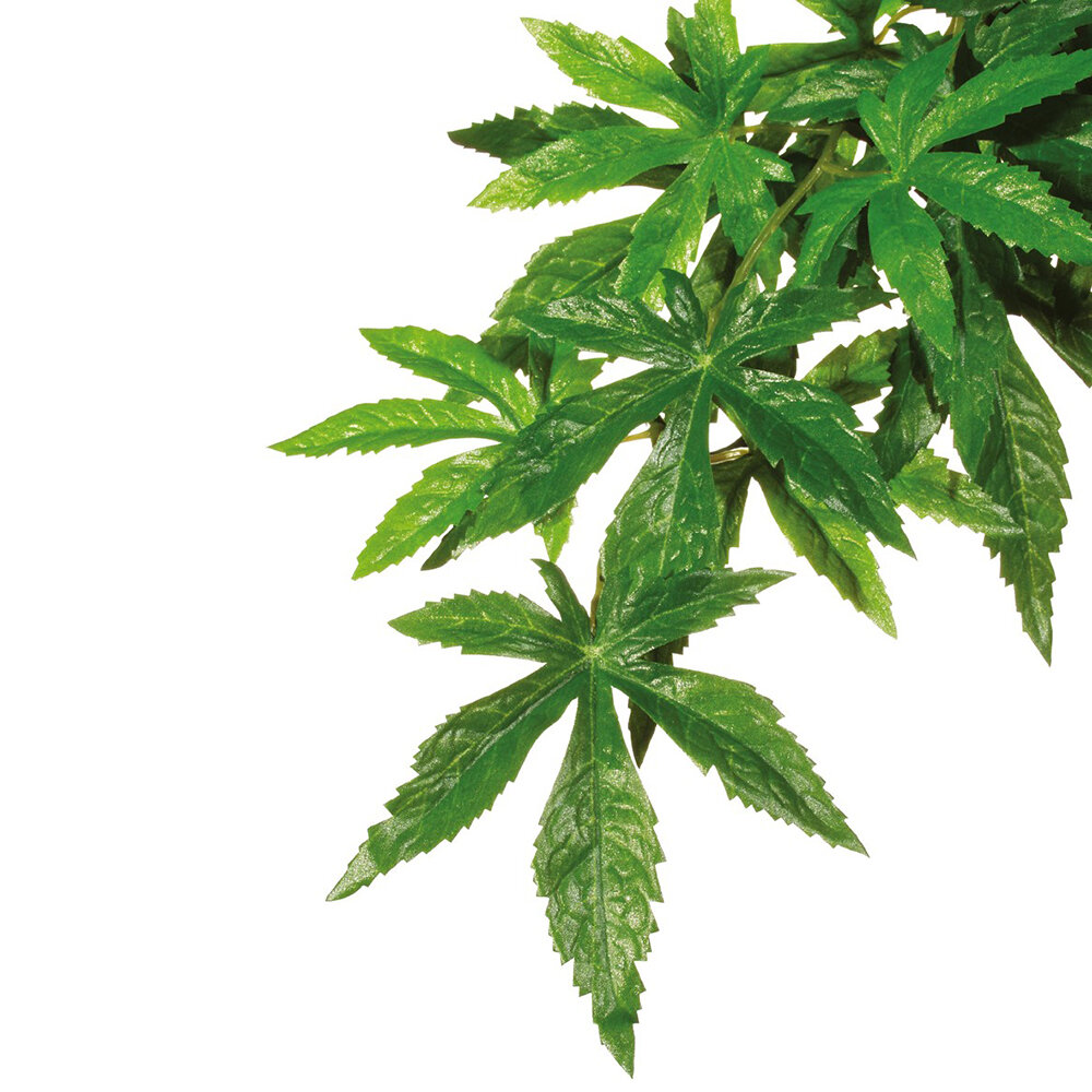 Тропическое растение Exo Terra Jungle Plants Абутилон, большое, 80х20 см