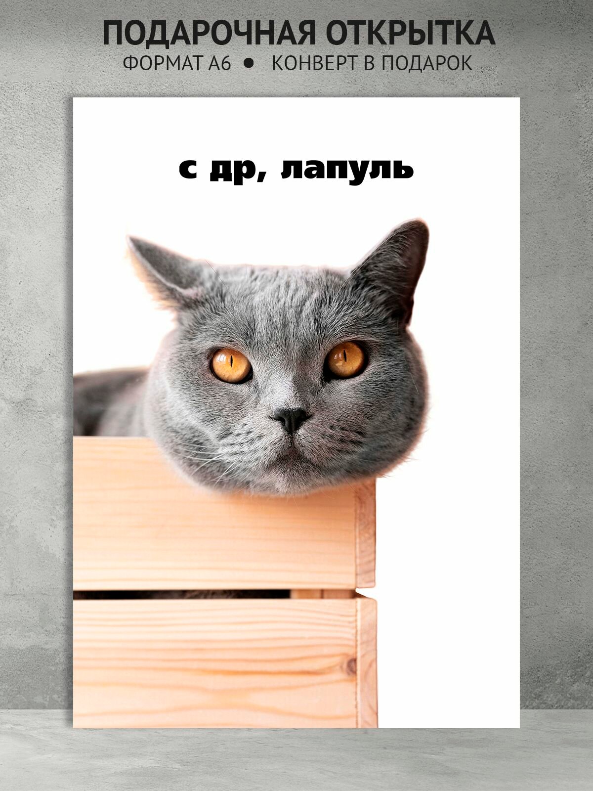 Подарочная открытка с уникальной иллюстрацией котик "С др, лапуль" с днем рождения, с юбилеем