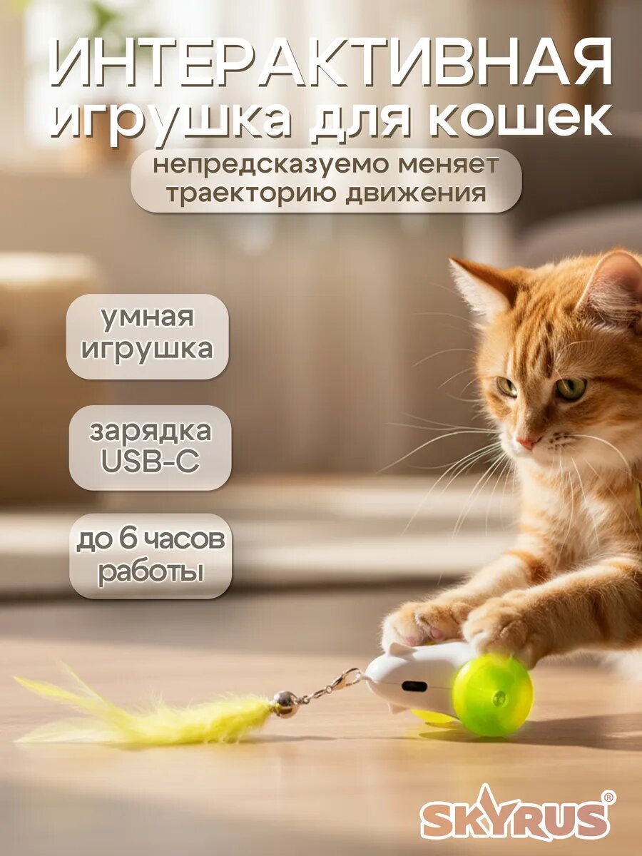 Игрушка для кошек интерактивная Racing Chase