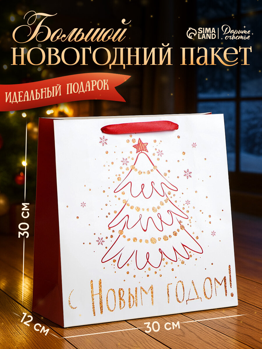 Пакет подарочный «Снежного Нового года!», 30 х 30 х 12 см, для упаковки подарка