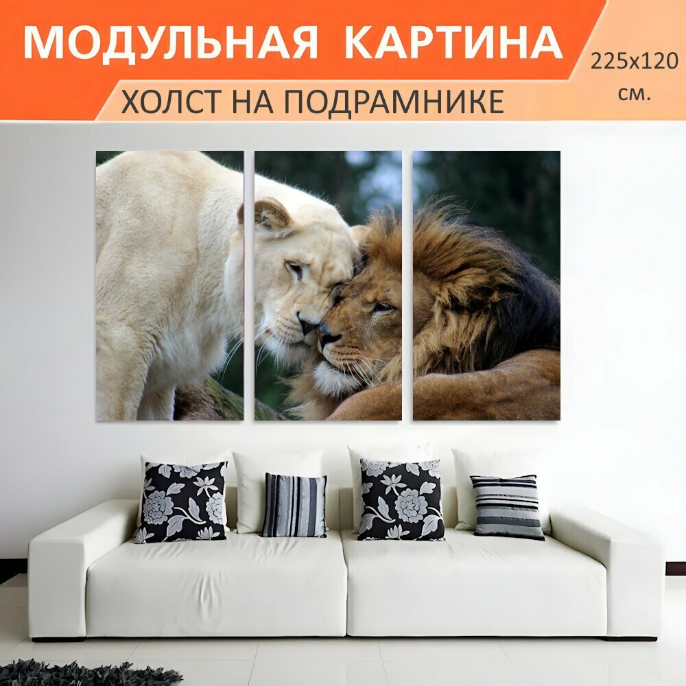 Модульная картина на холсте "Лев, львица, большой кот" триптих на подрамнике 225х120 см. для интерьера