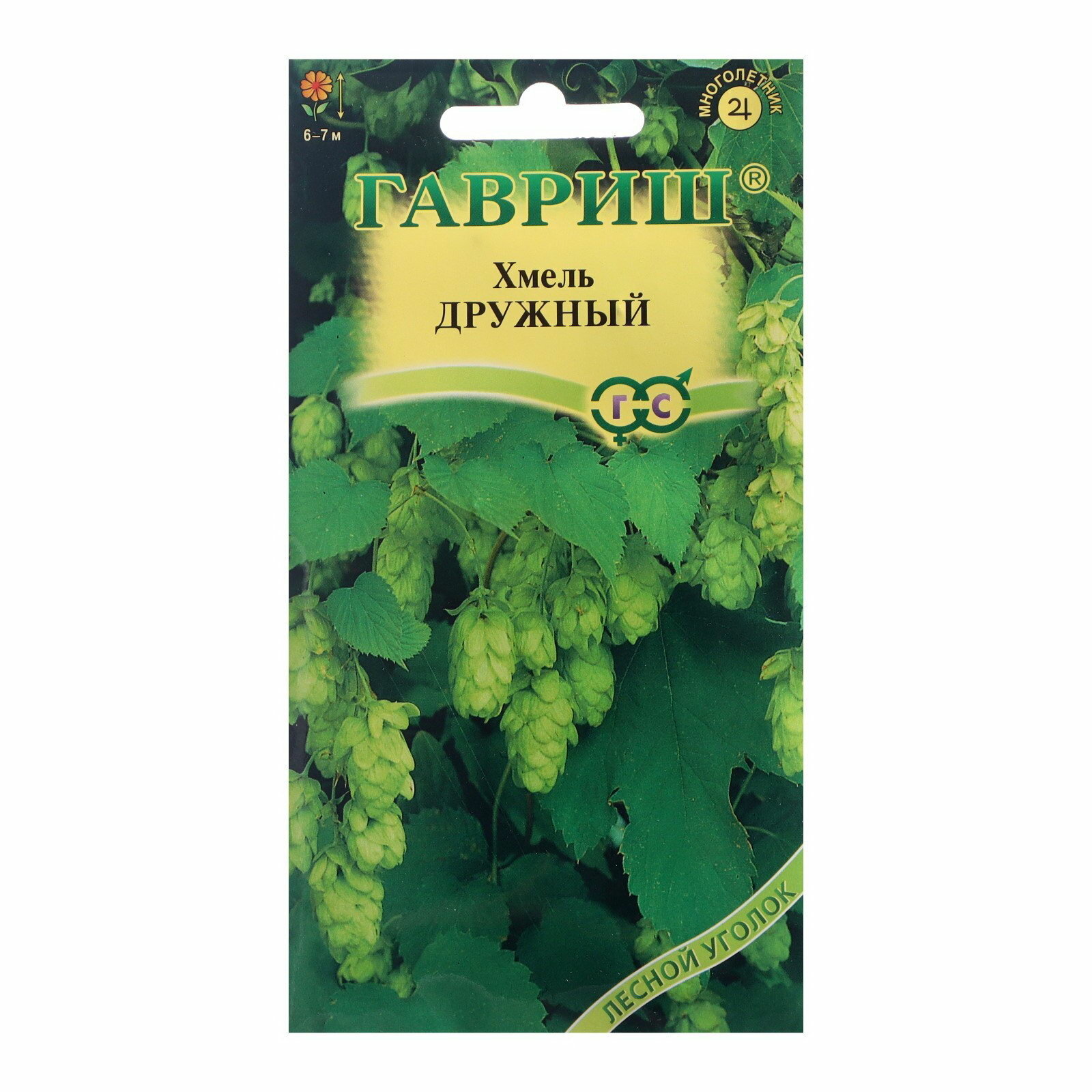 Семена Хмель "Дружный", ц/п, 0.1 г, по форме куста: ампельная