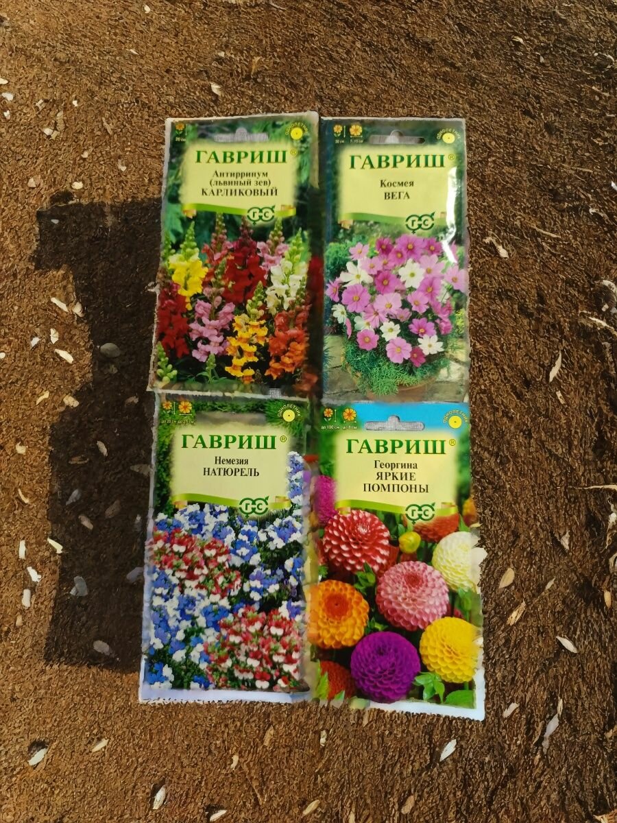 Набор семян однолетних цветов Агрофирмы Гавриш 4 вида : Немезия, Львиный Зев, Космея, Георгин - по 1 пачке