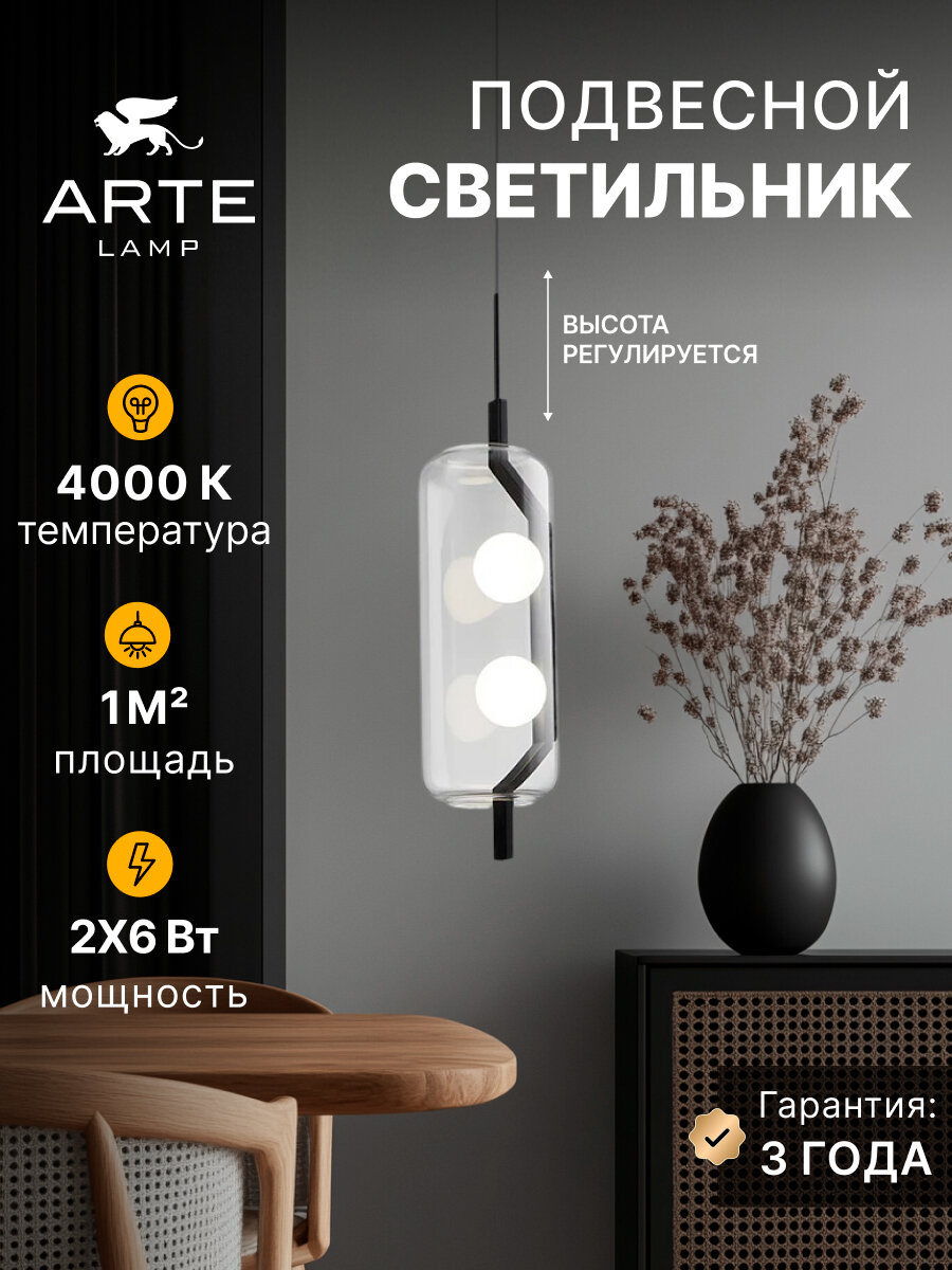 Подвесной светильник Arte lamp GENEVA A2341SP-2BK LED чёрный