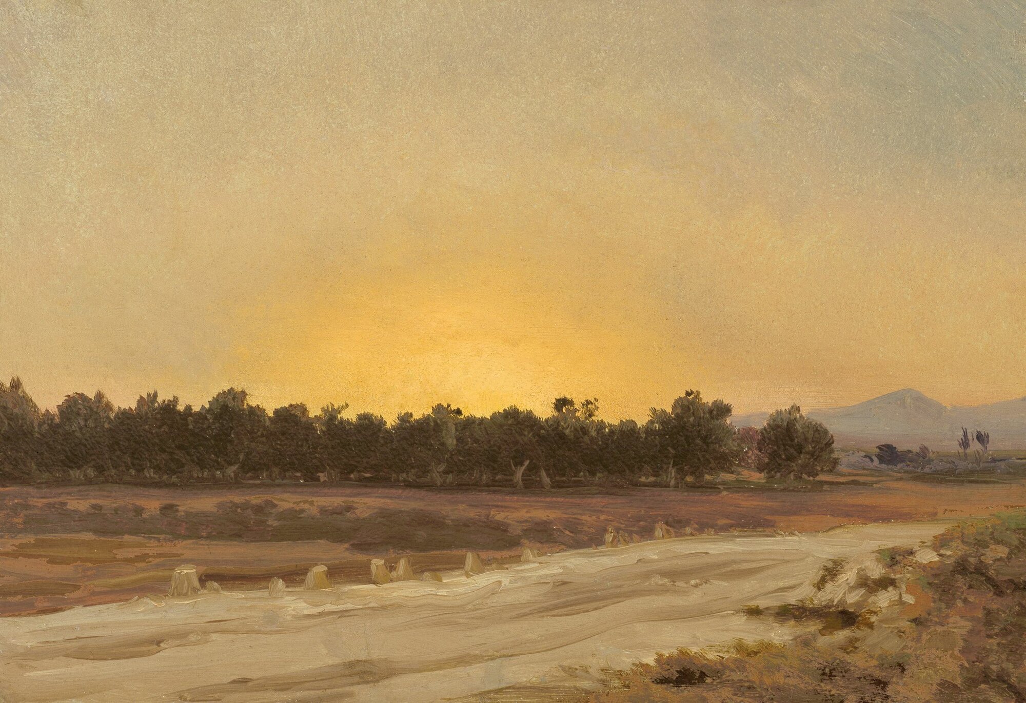 Картина Карлоса де Хаеса Закат. Эльче 80х55 см