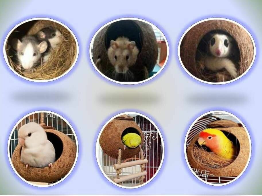 Домик для животных