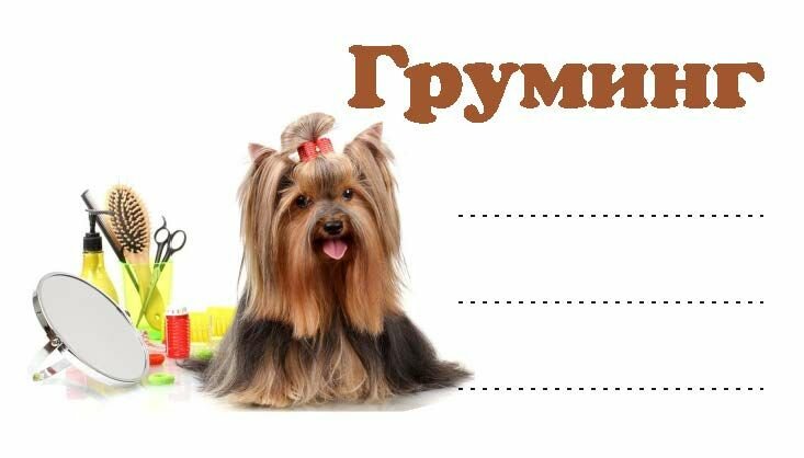 Визитка Груминг