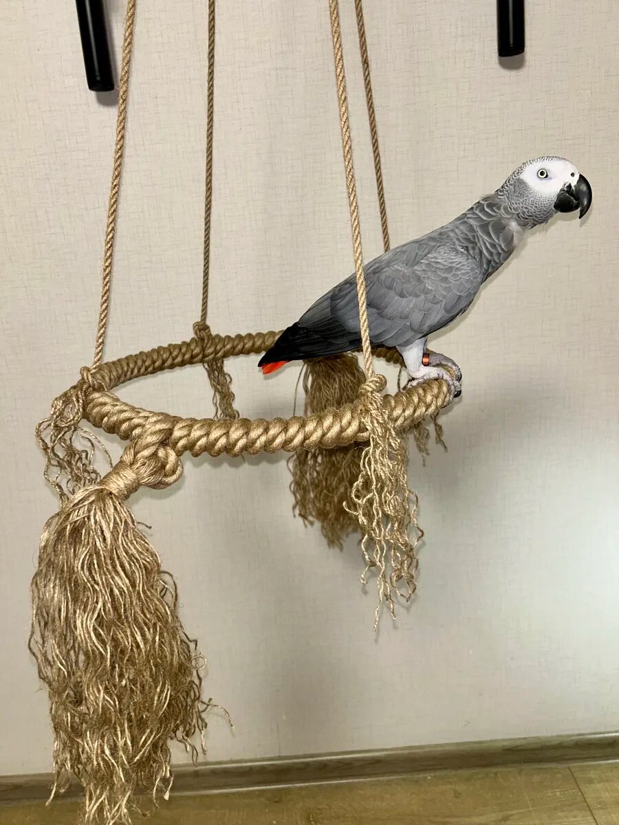 Подвесное джутовое кольцо с опорами 35см (для попугая)