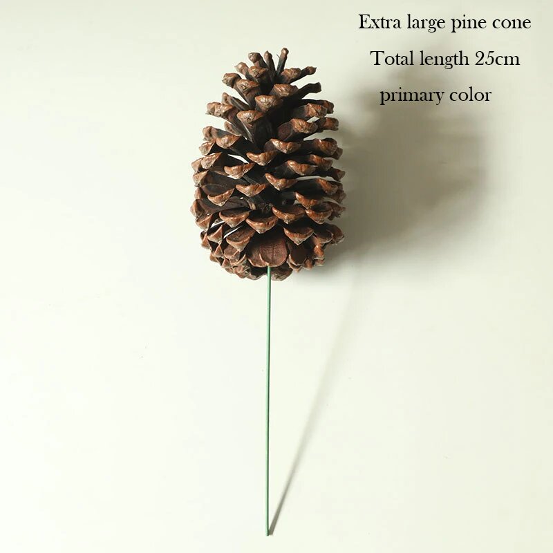 Натуральные сосновые шишки, 10 шт.