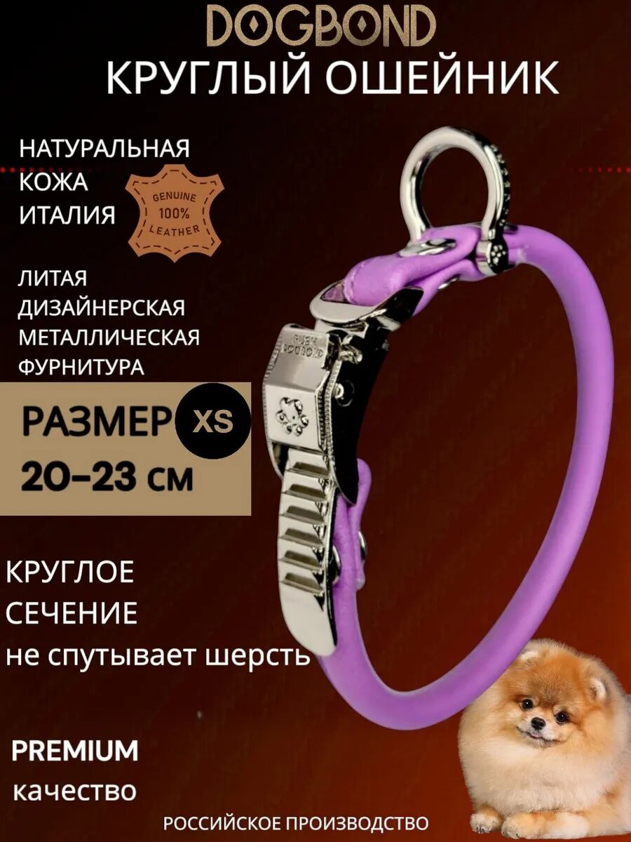 Ошейник Dogbond круглый для шпица