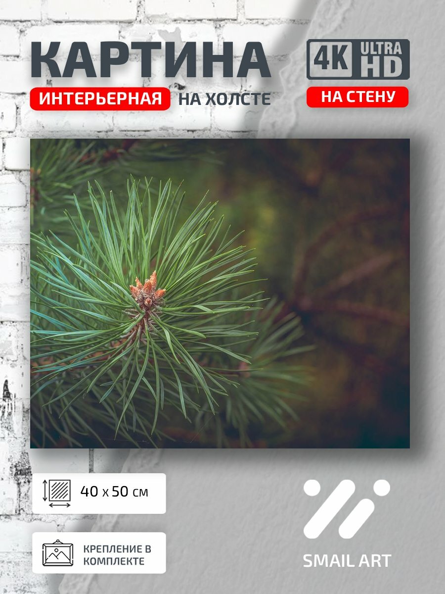 Картина на холсте интерьерная 40 на 50 на стену Ветка Landscape для гостиной пейзаж декор