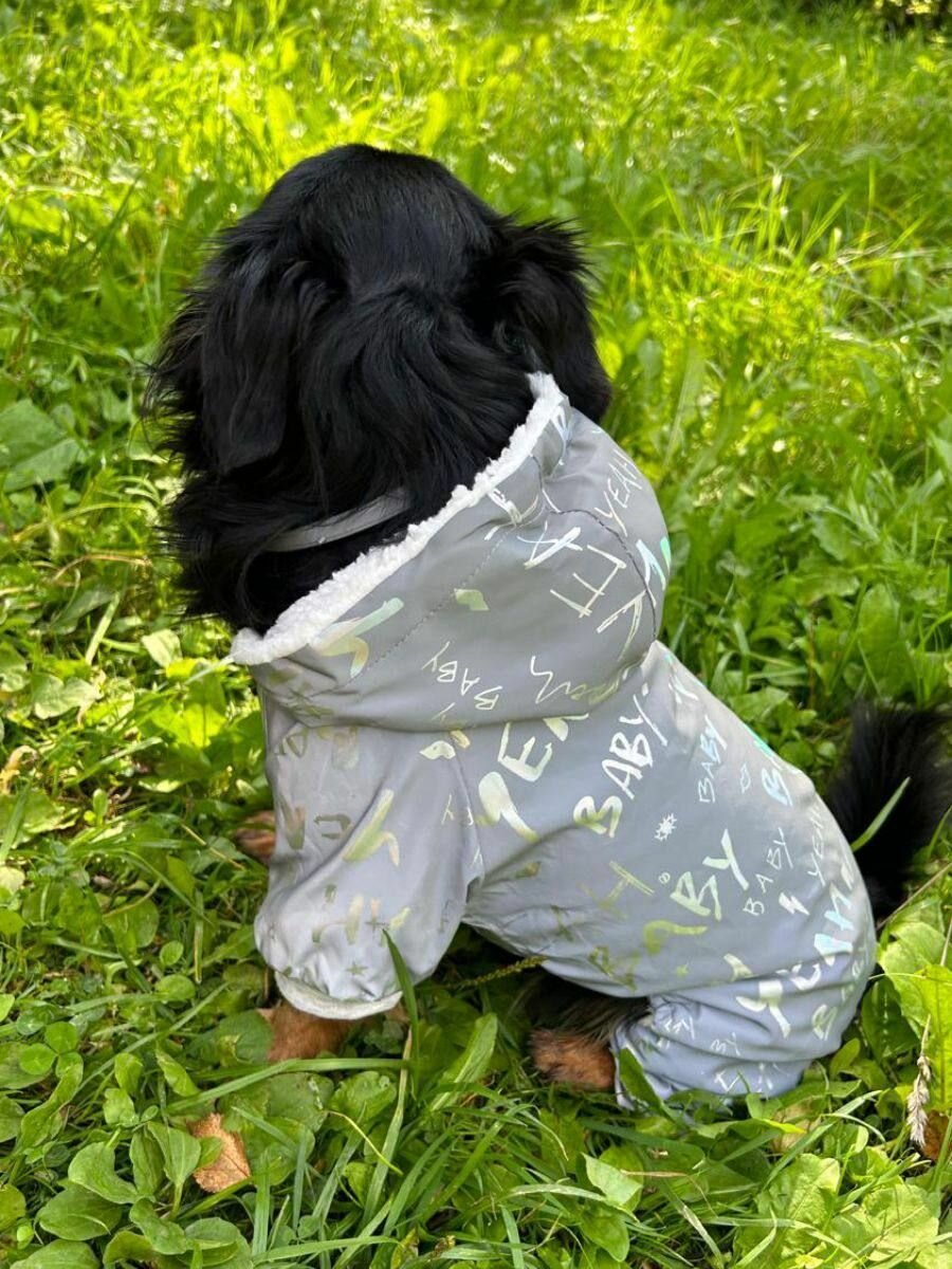 Одежда для животных — фото 1